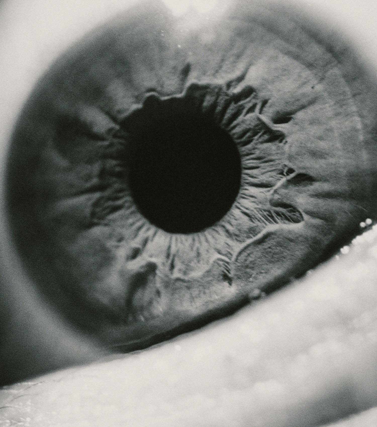 Kelly Meador's Instagram, Twitter & Facebook on IDCrawl