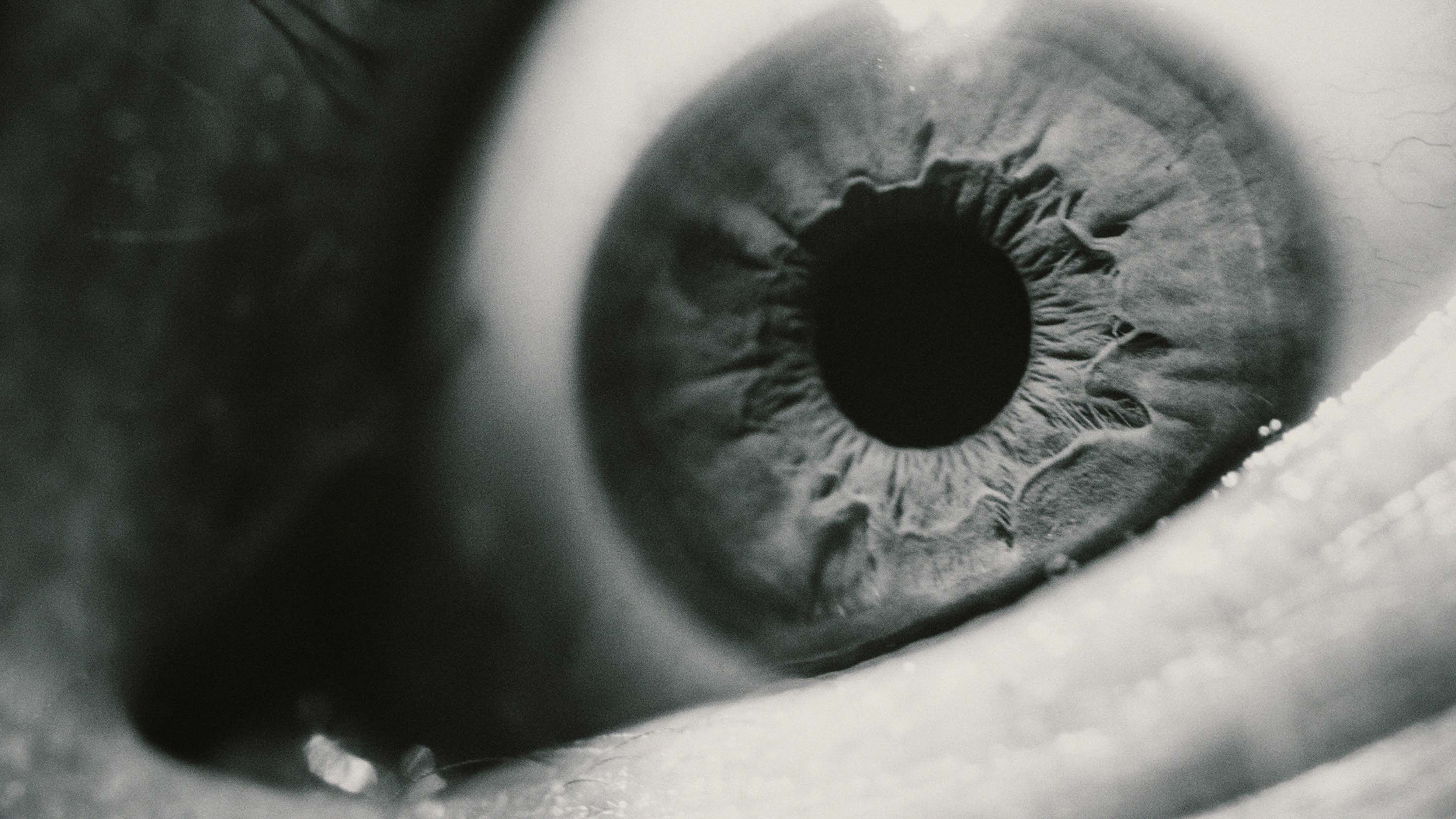 IMPACTIST = Kelly Meador + Daniel Elwing