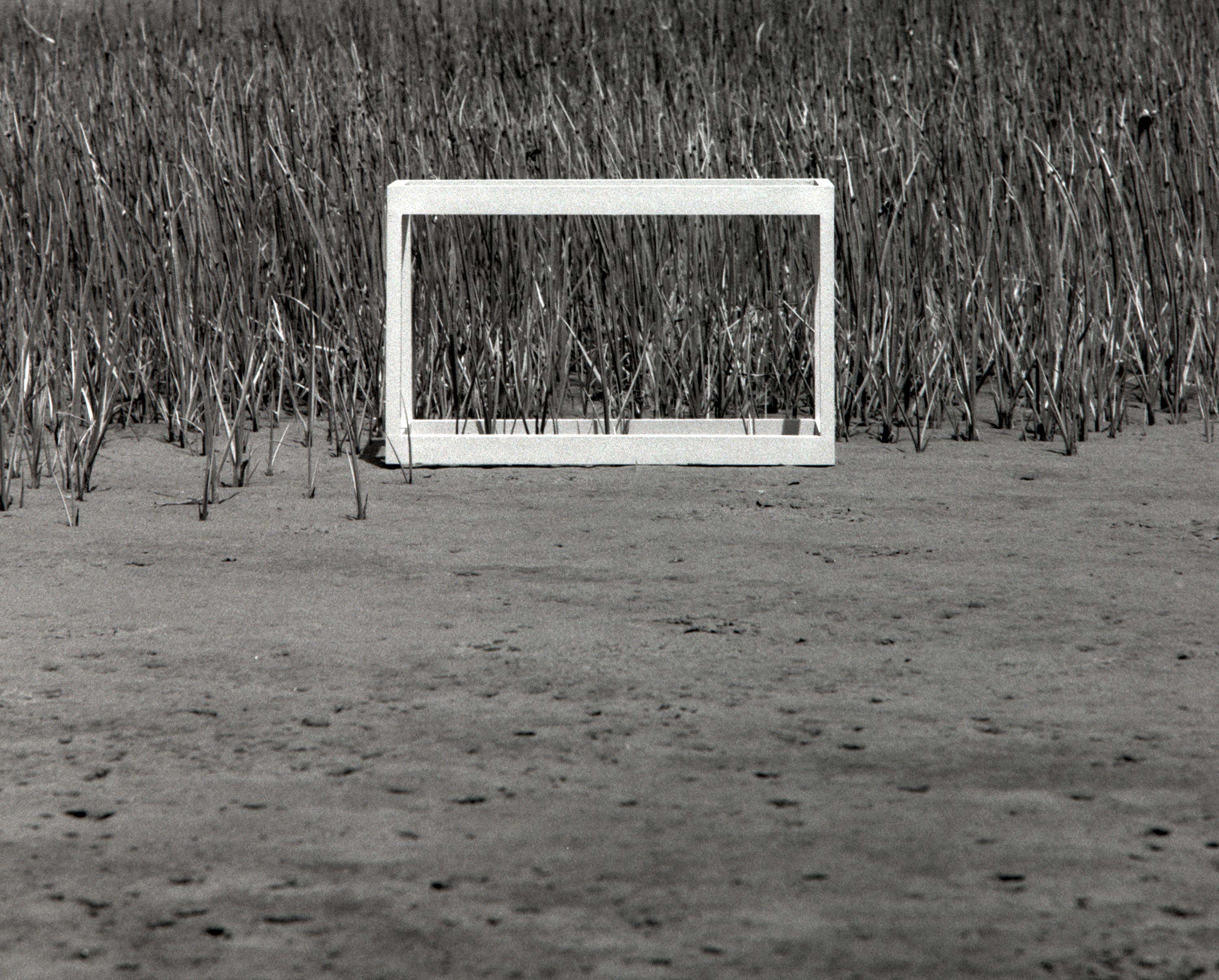 IMPACTIST - ALL THINGS INVISIBLE SNAKE