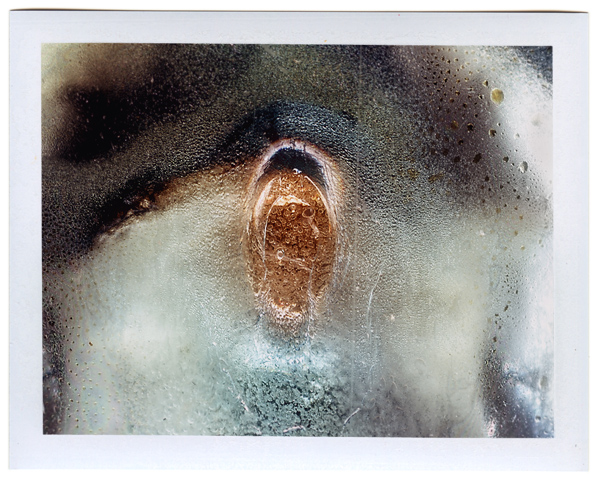 IMPACTIST. PHOTOGRAPHY. ONE TIME USE (10).